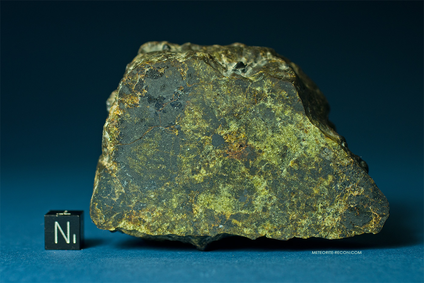 Meteorites For Sale – Stones – Meteorite Recon